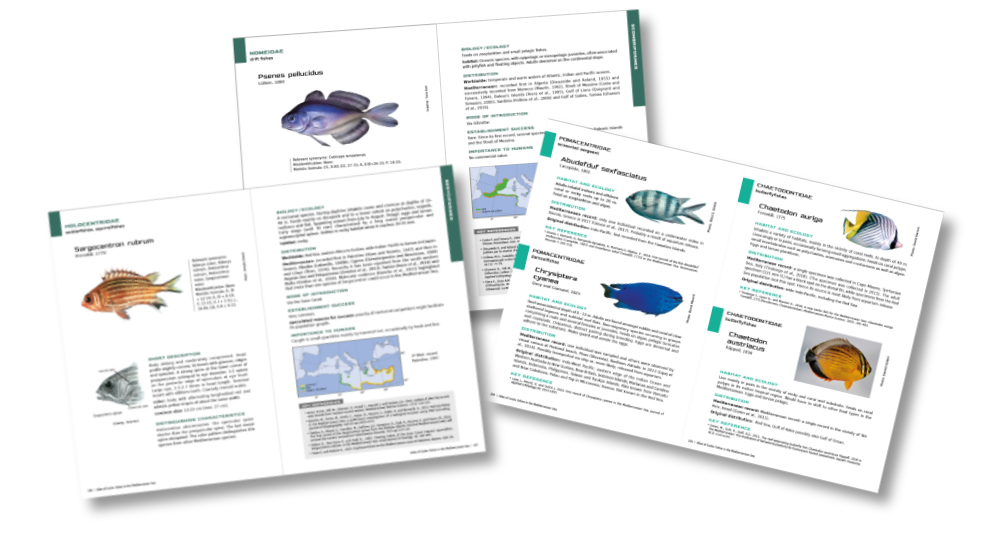 Atlas of Exotic Fishes in the Mediterranean Sea - 2nd Edition